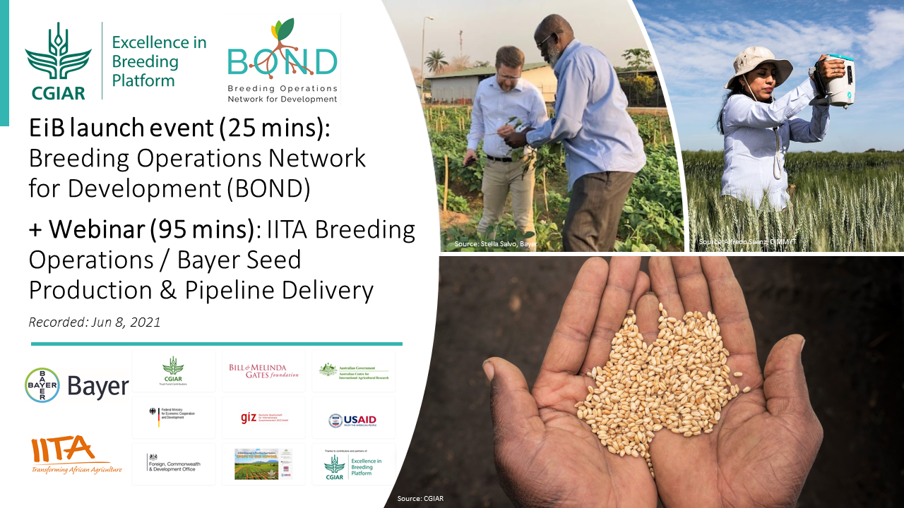 BOND Launch + Webinar: IITA Breeding Operations / Bayer Seed Processing | Excellenceinbreeding